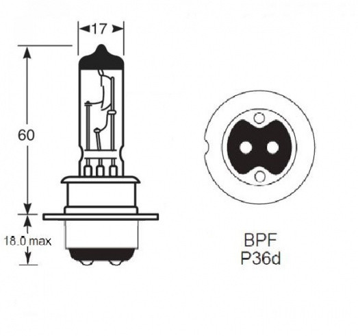 BPF P36D SHIELD HALOGEN: British Pre-focus P36D base Halogen bulb with ...